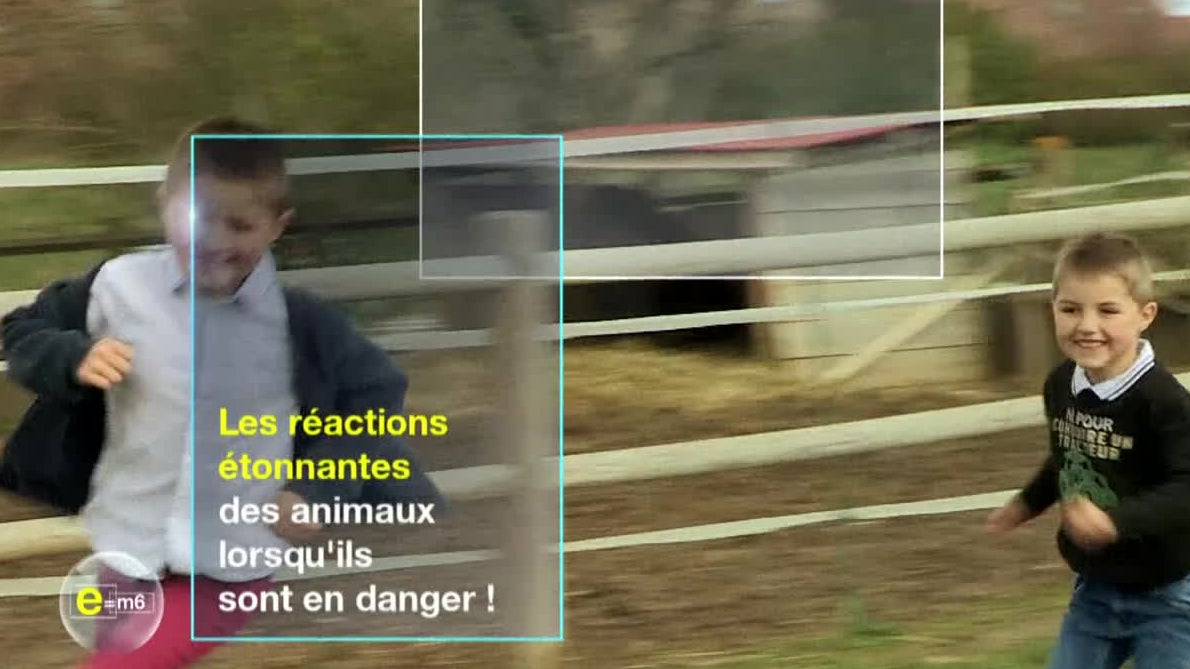 E=M6 en Replay? Revoir toutes les émissions de E=M6 en replay.