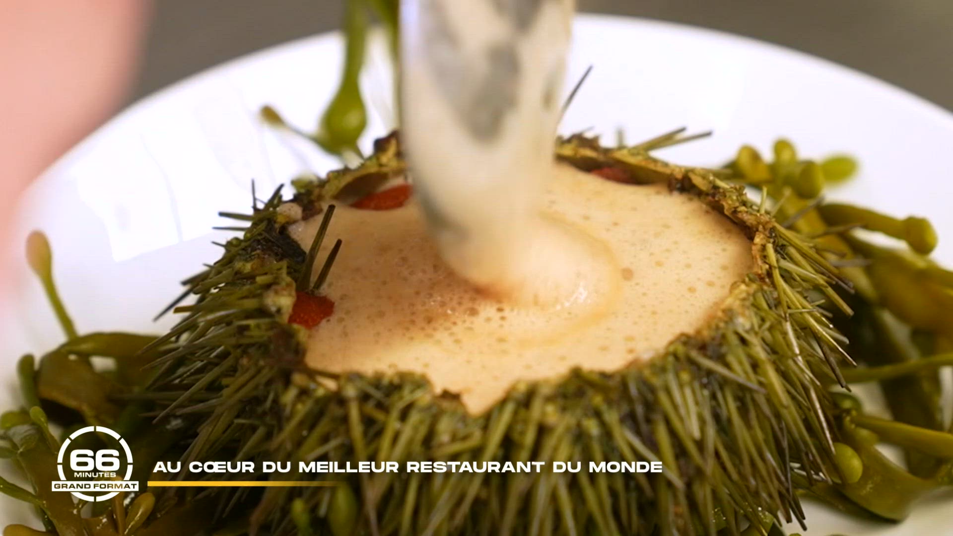 Replay 66 Minutes, Au cœur du meilleur restaurant du monde du M6
